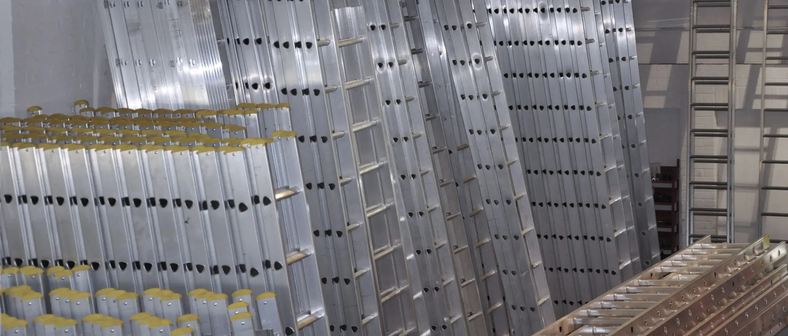 Extension Ladders - With 20 Years Warranty - LEWIS Access